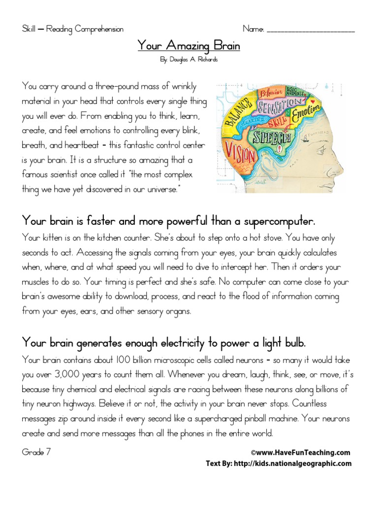 Your Amazing Brain | PDF | Brain | Neuron