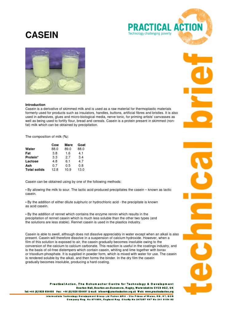 Casein Production | Milk | Calcium