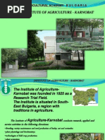 Ube Production Guide | PDF | Mulch | Fertilizer