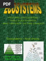 Epping Forest Case Study Booklet | PDF | Ecosystem | Systems Ecology
