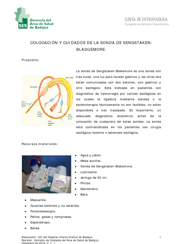 Colocación y Cuidados de La Sonda de Sengstaken-Blakemore. V.1.1 | PDF ...