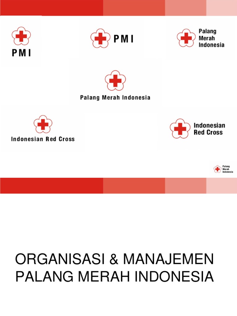 Struktur Organisasi Palang Merah Indonesia | PDF | Ilmu Sosial | Politik