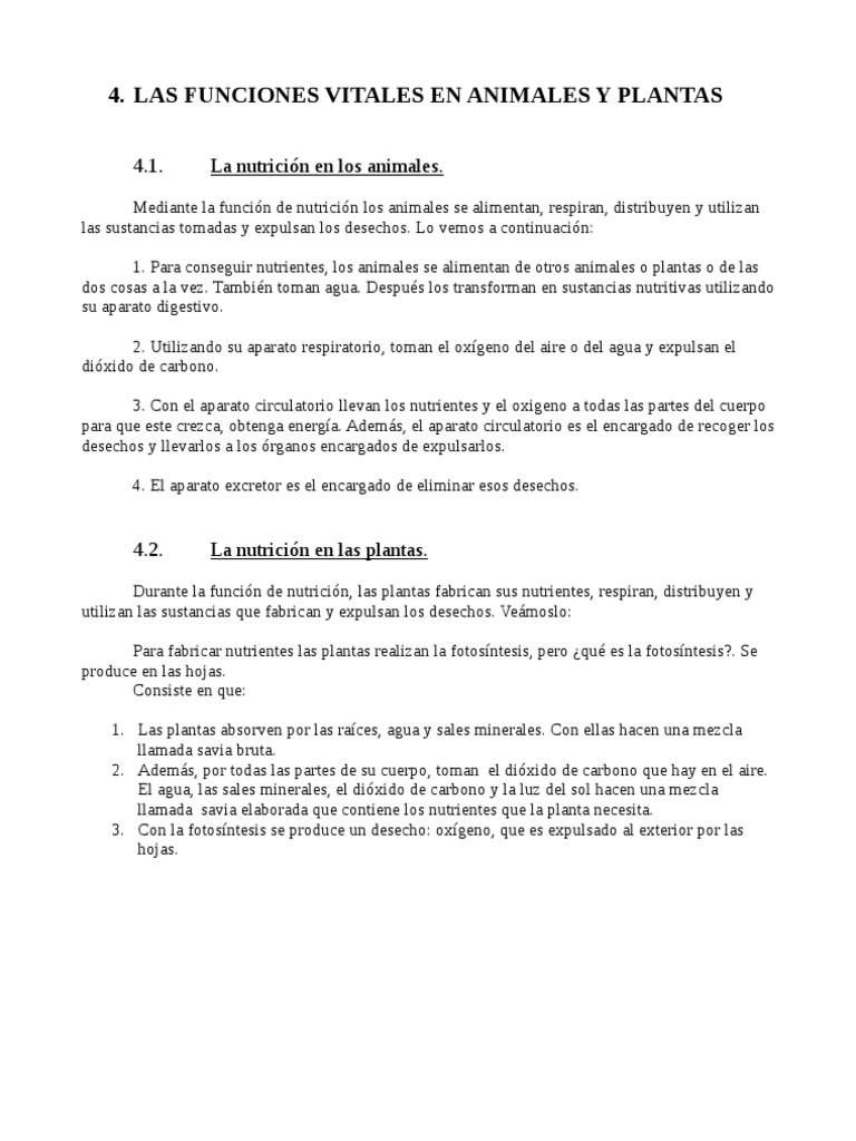 Resumen Tema 4: Las Funciones Vitales en Animales y Plantas | PDF ...