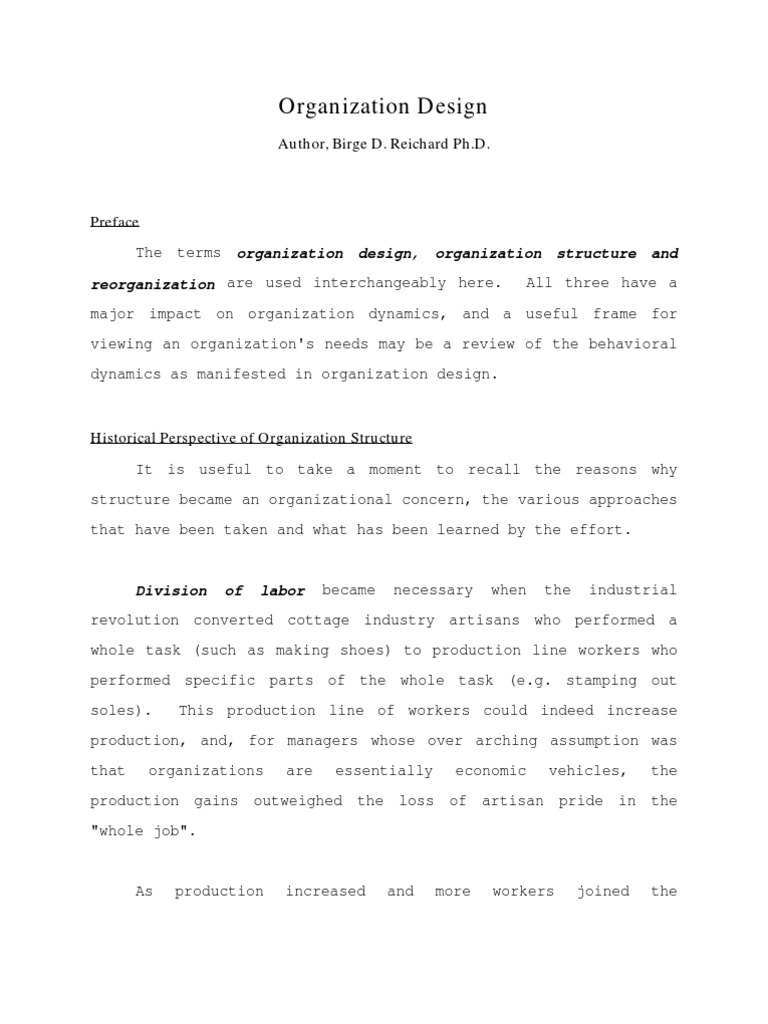 Organization Design: Author, Birge D. Reichard PH.D | Download Free PDF ...