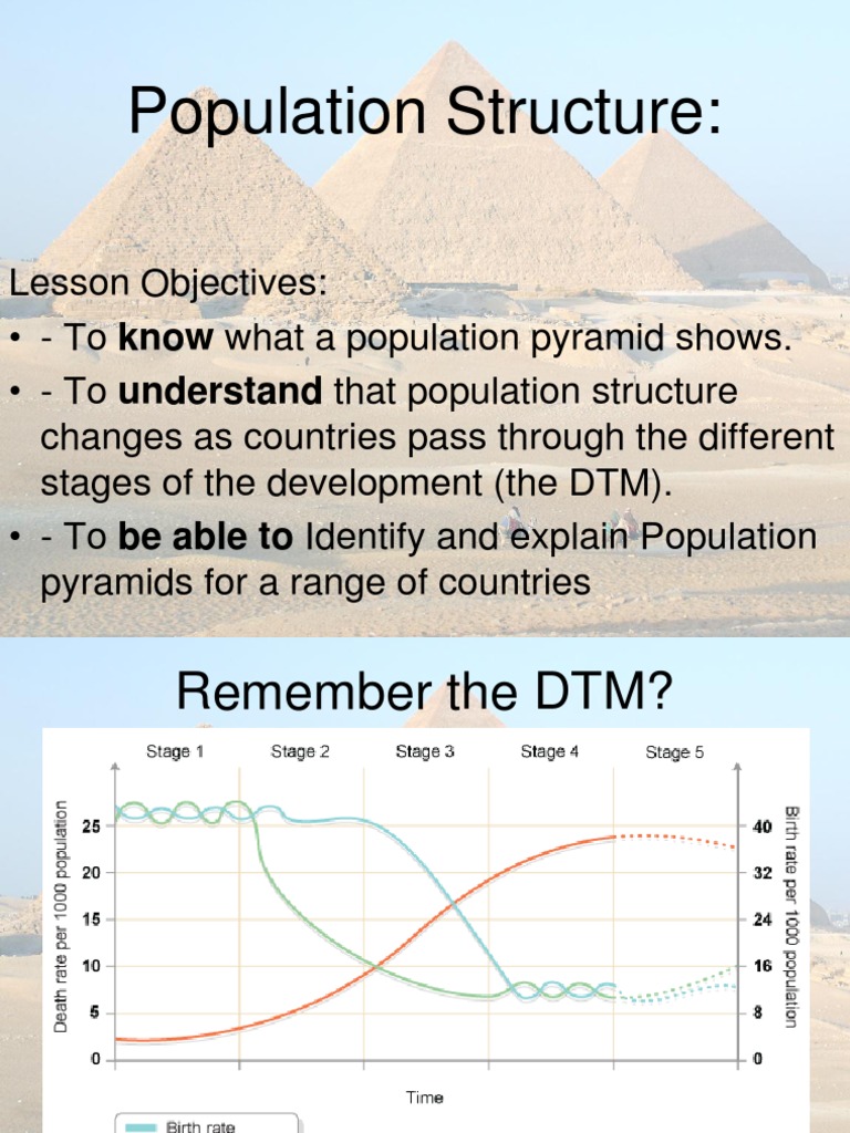 Understanding Population Pyramids | PDF