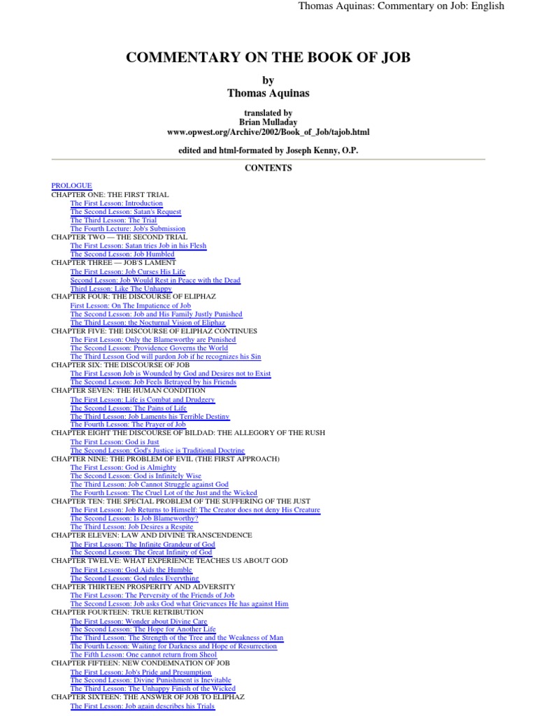 Commentary On Job | PDF | Book Of Job | Satan