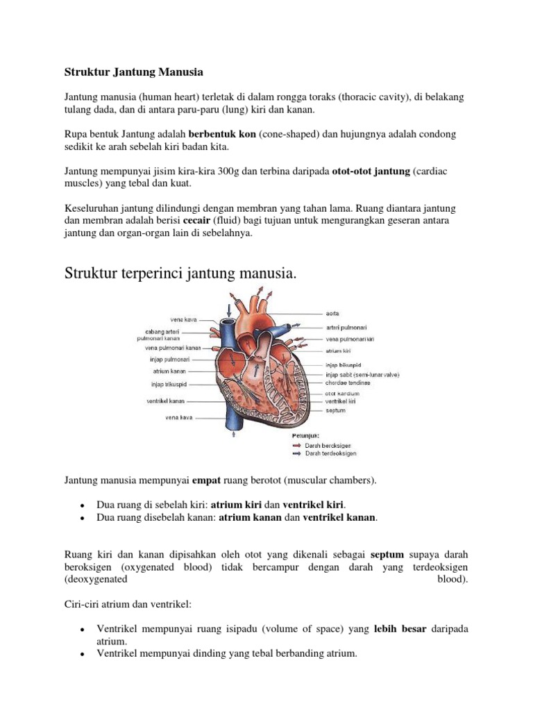 Nota Sains Tingkatan 3 | PDF