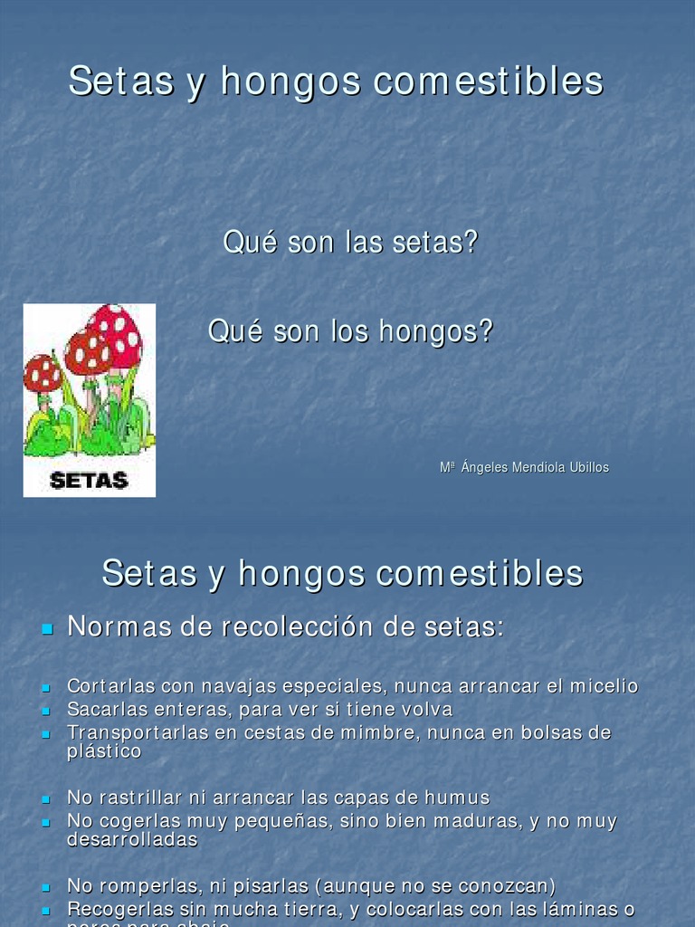 Setas y Hongos Comestibles | PDF | Hongo | Hongos comestibles