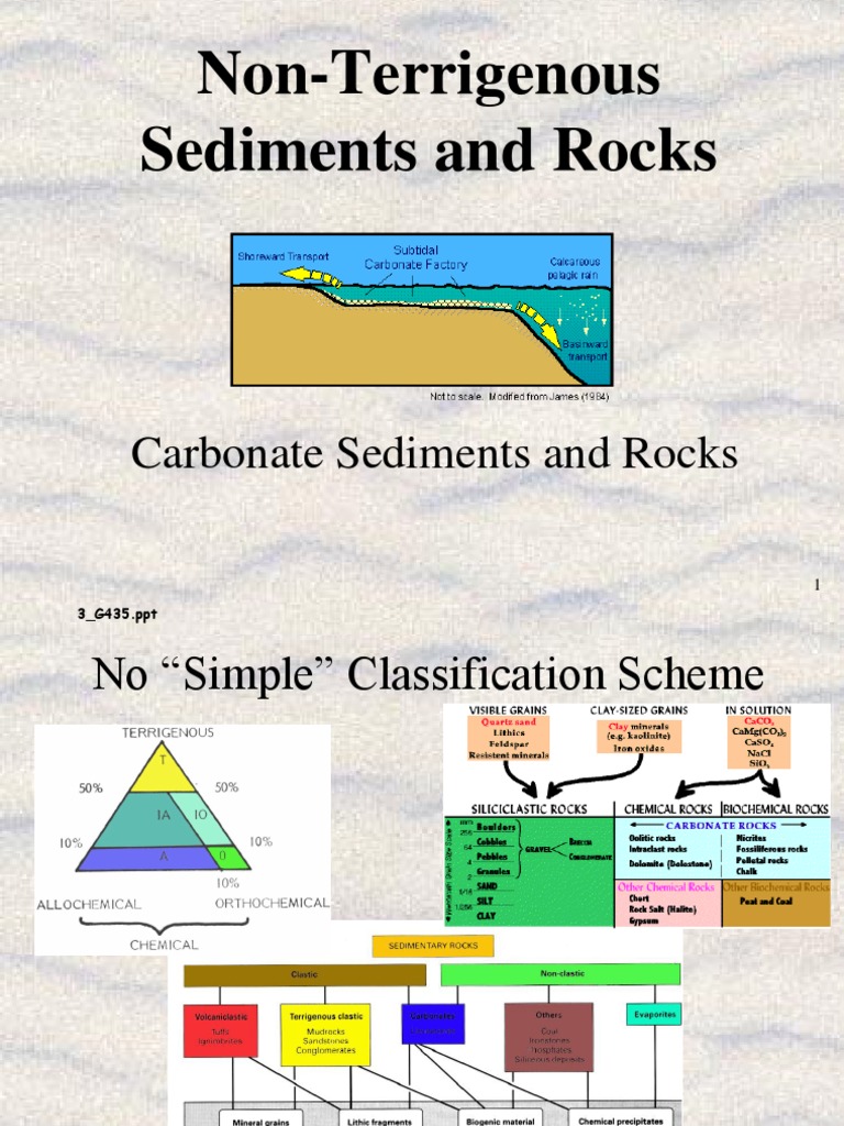 carbonate rocks | Sedimentary Rock | Limestone