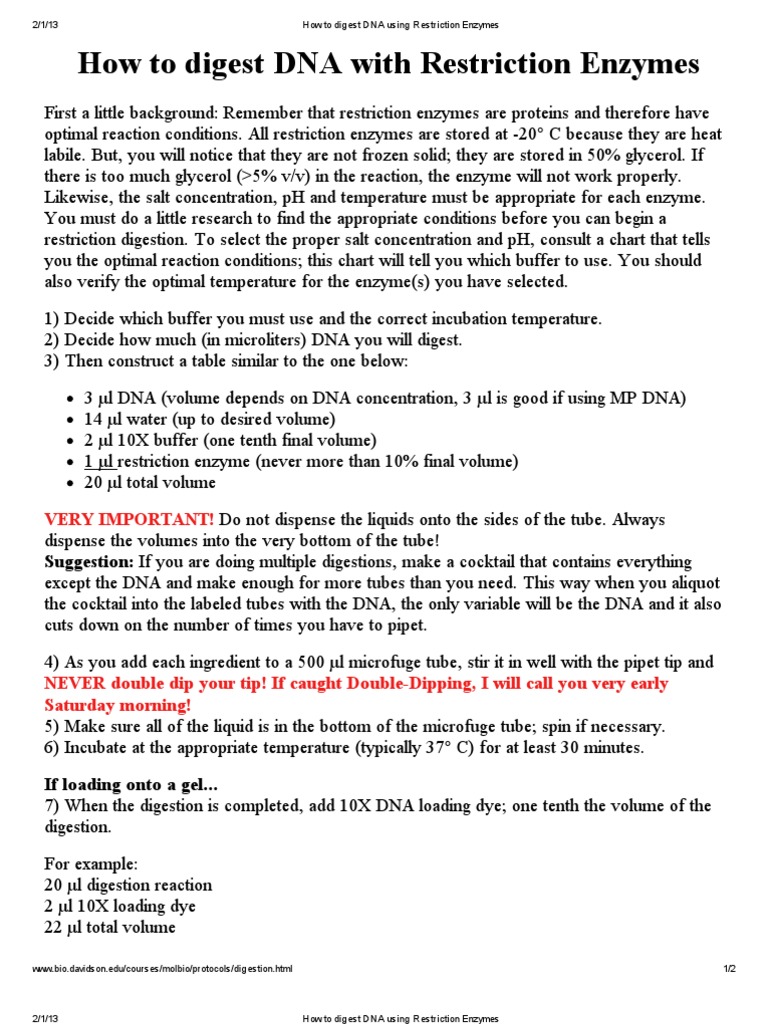 How To Digest DNA Using Restriction Enzymes | PDF