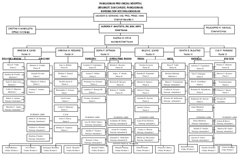Organizational Chart | PDF | Rehabilitation Medicine | Employment