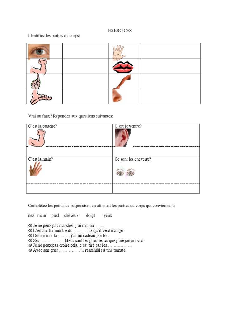 EXERCICESle Corps Humain | PDF