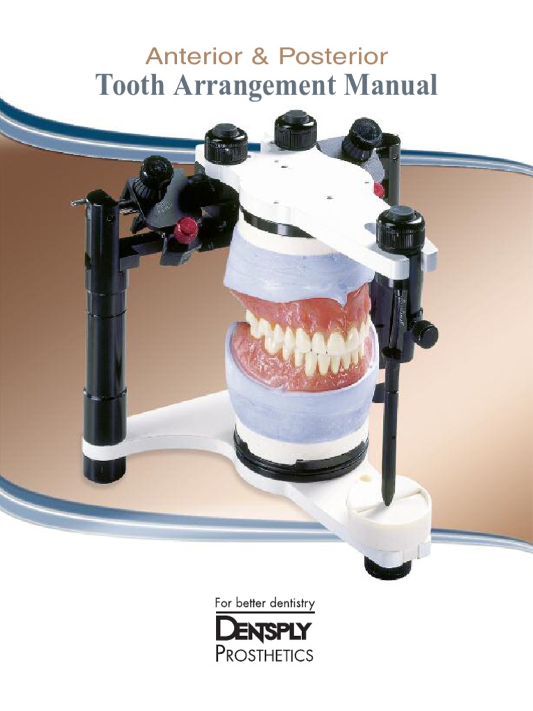Complete Denture | PDF | Dentures | Anatomical Terms Of Location