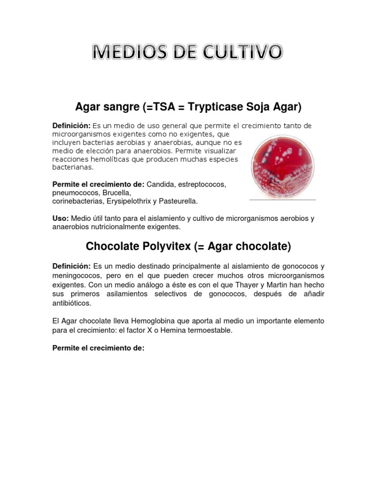 Agar Sangre | PDF