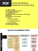 Esquemas Del Proceso Penal | PDF | Sentencia (ley) | Queja