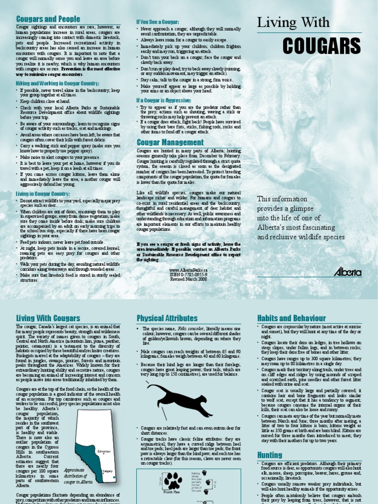 Living With Cougars | PDF | Cougar | Predation