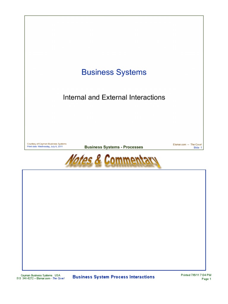 Business Process and Systems Interactions | PDF | System | Iso 9000