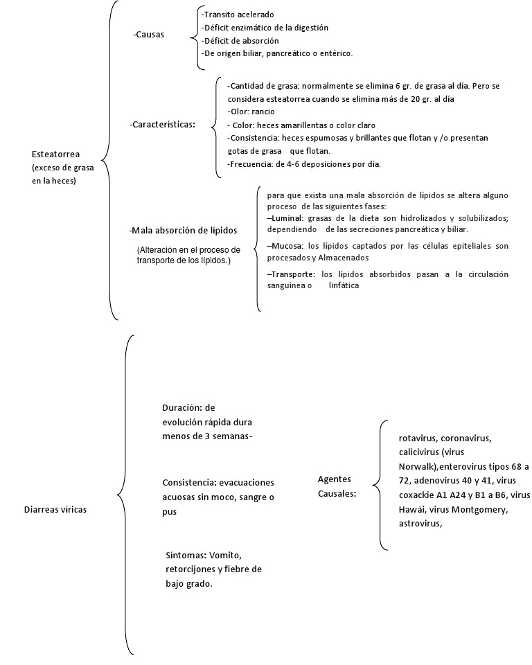 Esteatorrea y Virus | PDF