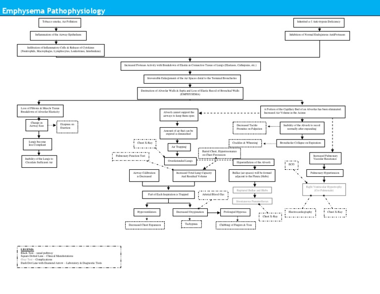 The Pathophysiological Process of Emphysema: From Initiation Through ...