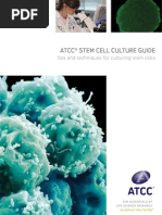 Weefim Scale PDF | PDF | Wheelchair | Neuroscience