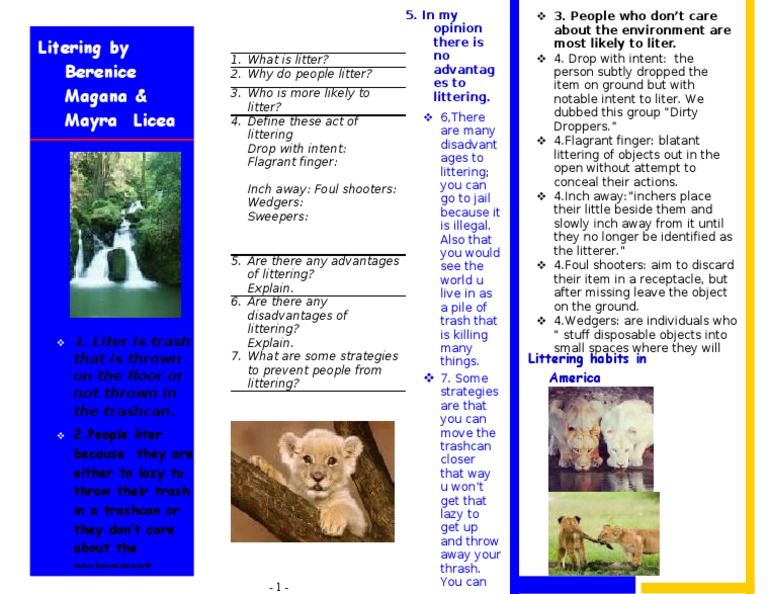 Littering Brochure | PDF