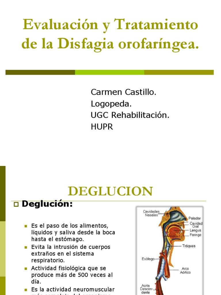 Disfagia Hospital | Esófago | Anatomía humana