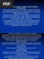 Apoplasto y Simplasto | PDF | Raíz | Biología Celular)