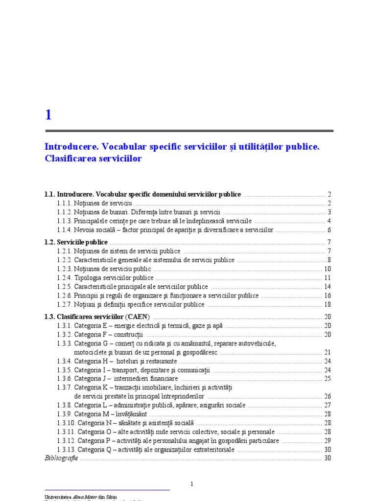 Servicii Si Utilitati Publice | PDF