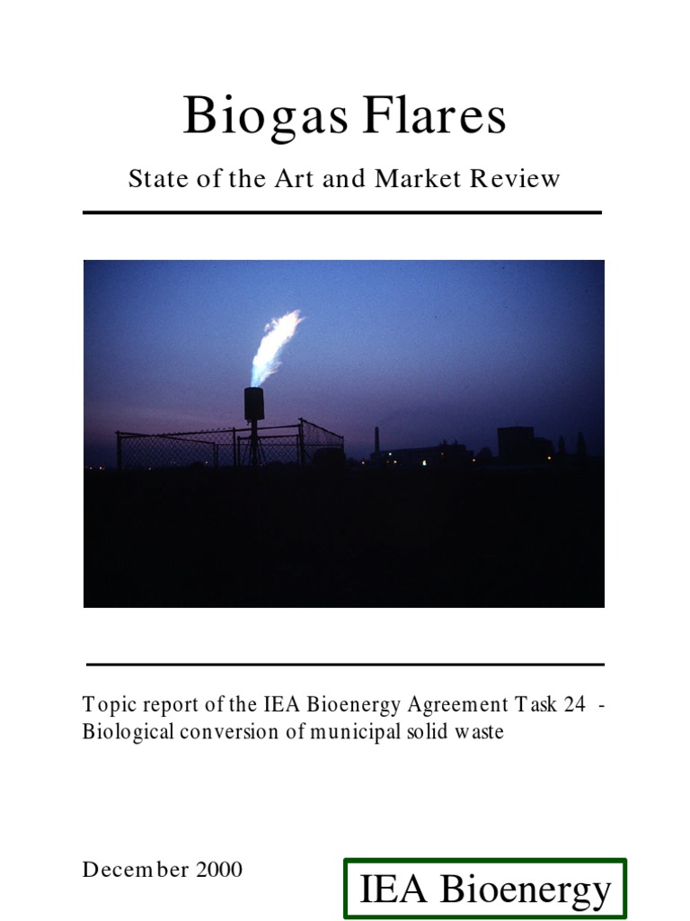 Biogas Flares | PDF | Anaerobic Digestion | Biogas