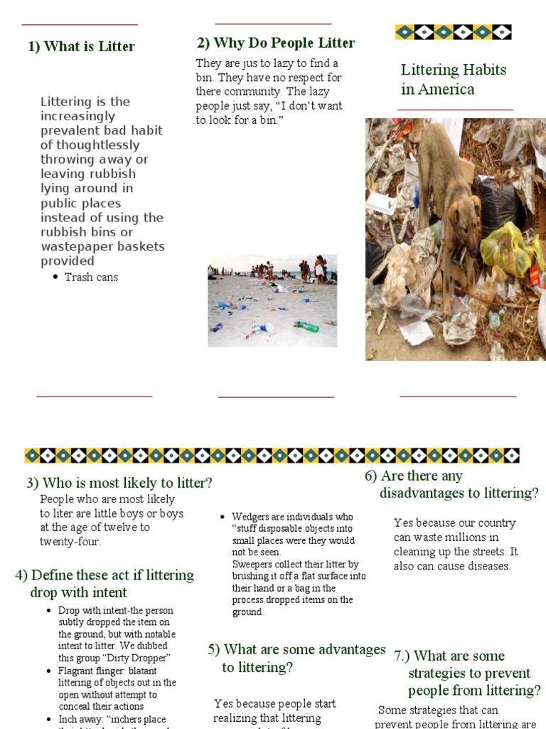 Understanding Littering Habits in America | PDF | Home & Garden | Lifestyle