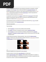 Qué es la espermarquia y su proceso | PDF | Eyaculación | Semen