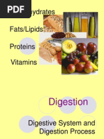 The Digestive System Poem | PDF