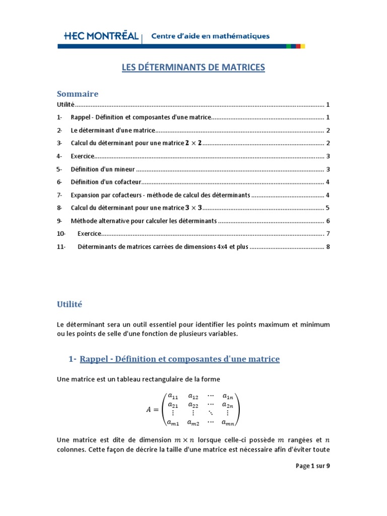 Calcul des déterminants de matrices | PDF