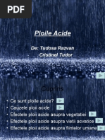 Poluarea Aerului, Ploile Acide | PDF