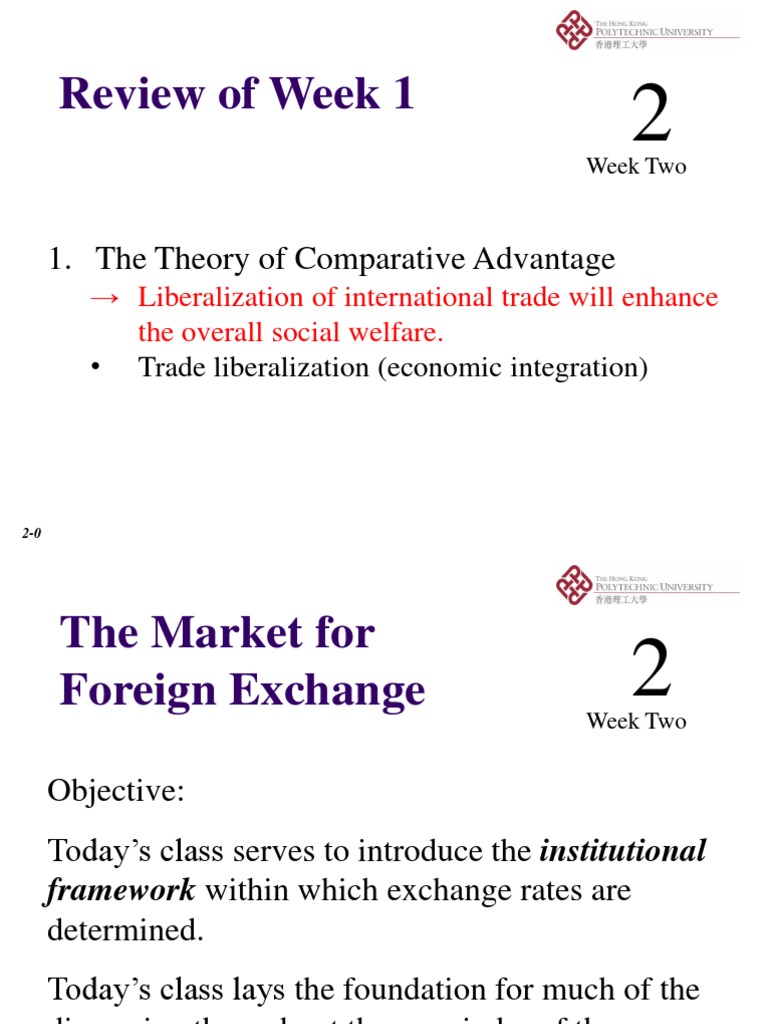 Foreign Exchange Market Notes | PDF | Foreign Exchange Market | Euro