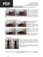 Scapular Stabilisation: Y-W-T Exercises | PDF