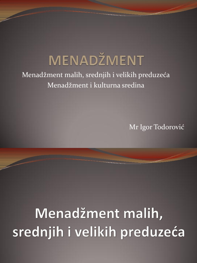 Menadzment Malih Srednjih I Velikih Preduzeca | PDF