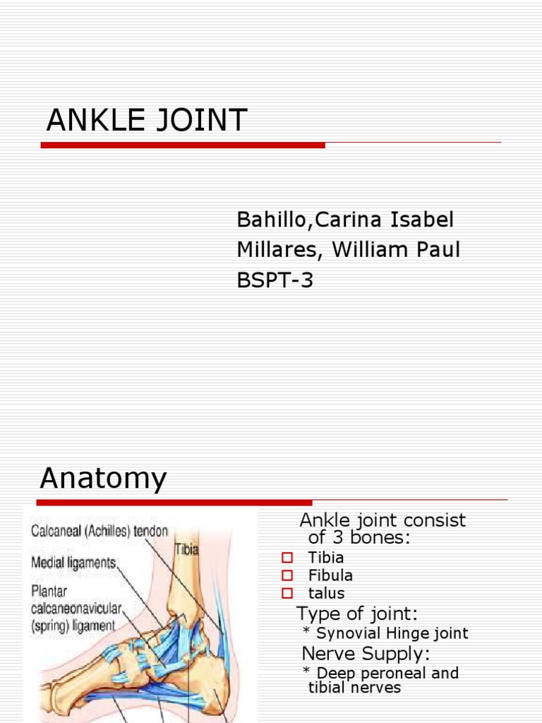 Ankle Joint | PDF | Ankle | Lower Limb Anatomy