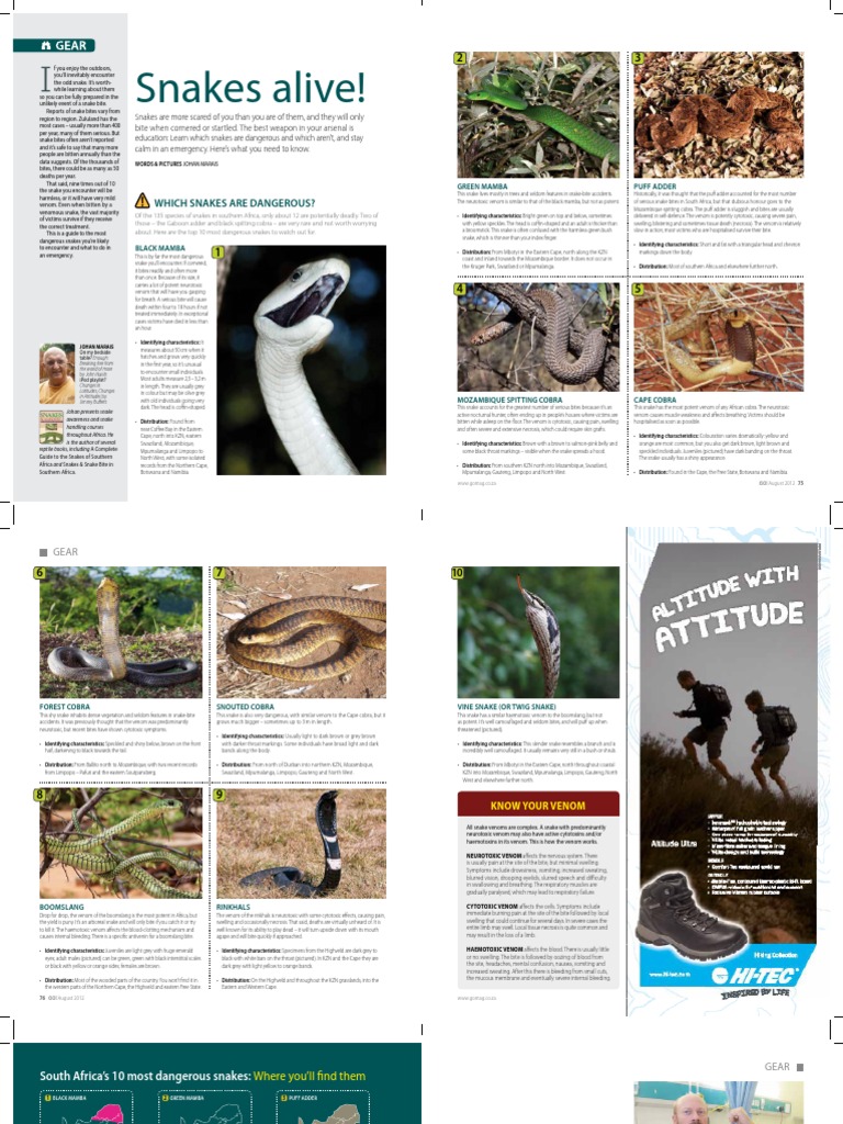 Snakes and Snakebite Go/Weg Magazine | Download Free PDF | Snake ...