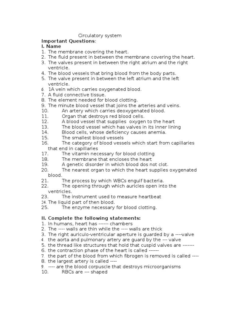 Circulatory System Anatomy and Physiology: A Comprehensive Review of ...