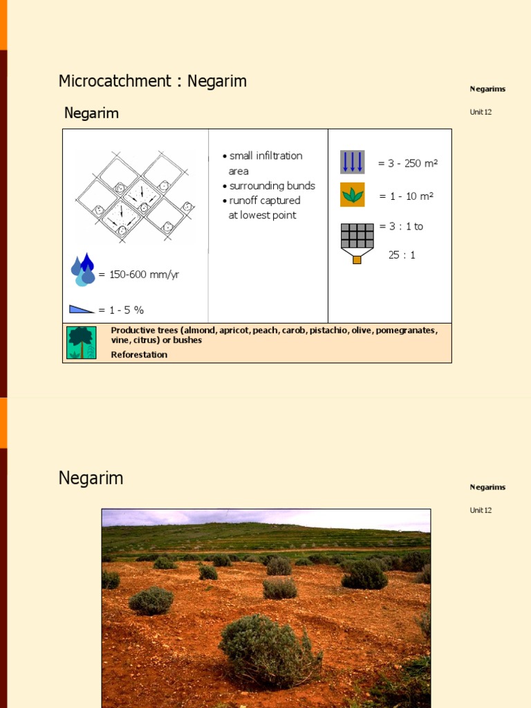 Negarim Microcatchment System Overview | PDF | Landscape Architecture ...