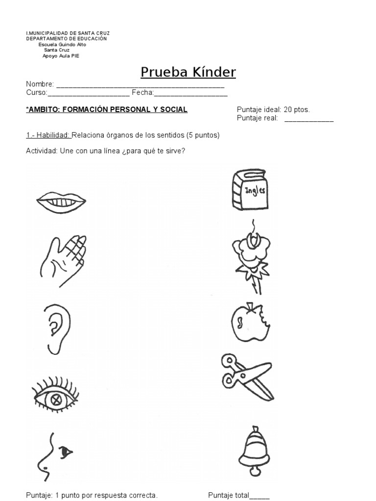 Prueba Kinder | PDF