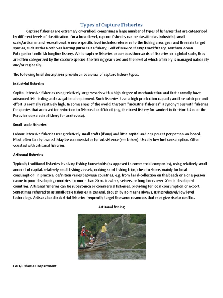 Overview of Capture Fisheries Types | PDF | Fishery | Fish And Humans