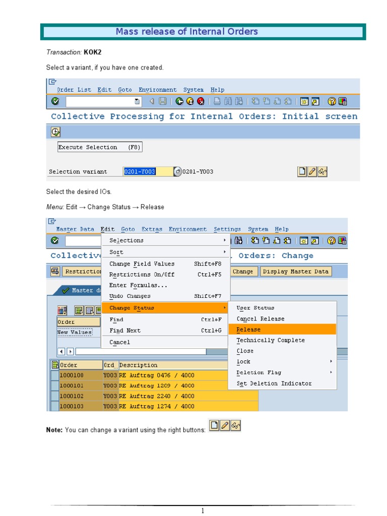 Mass Release of Internal Orders in SAP | PDF