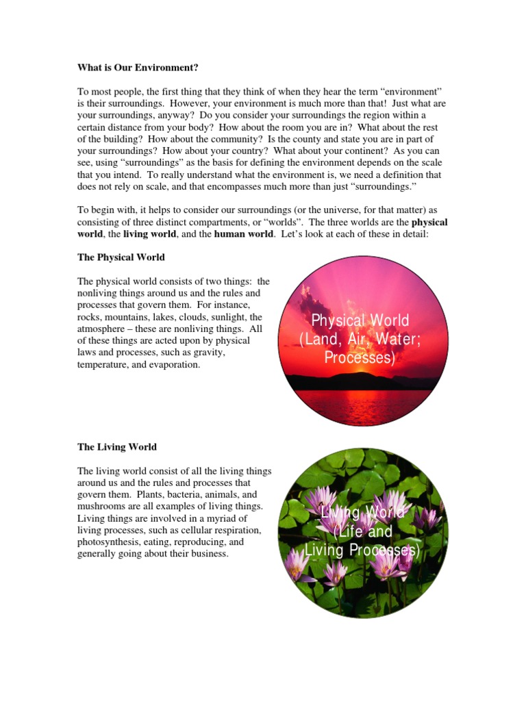 What Is Our Environment | PDF | Natural Environment | Human