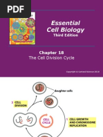 Molecular Cell Biology 4th Edition Harve | PDF | Biology | Meiosis