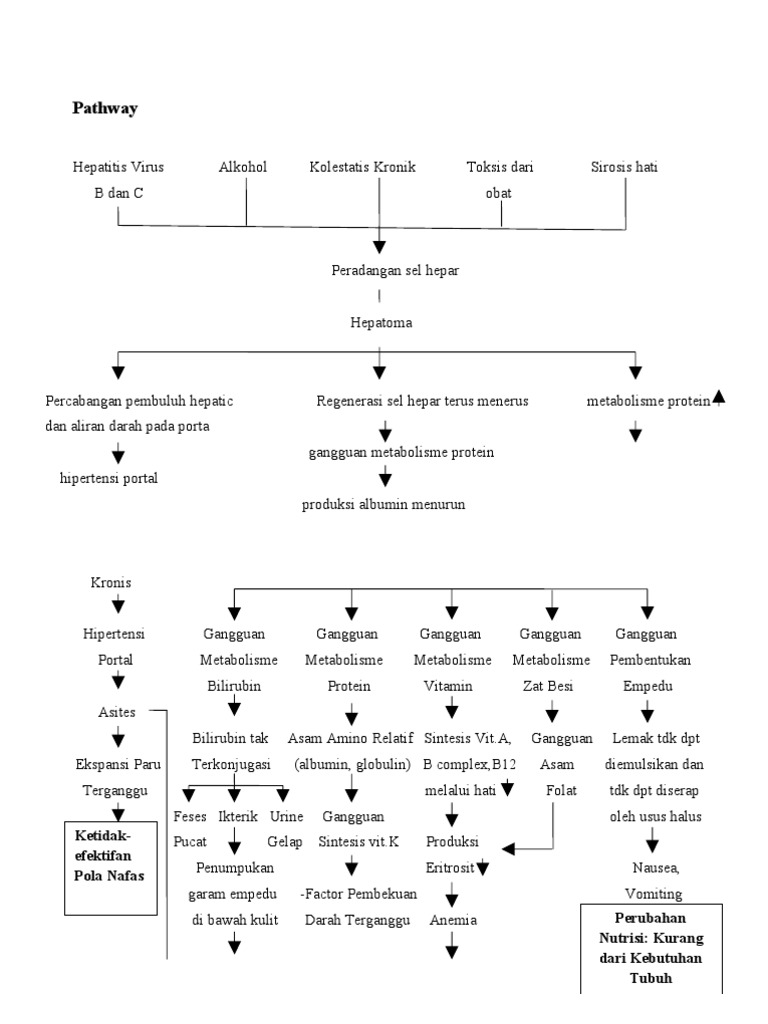 Pathway Sirosis | PDF