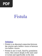 Seton Techniques for Anal Fistulas | PDF | Gastroenterology