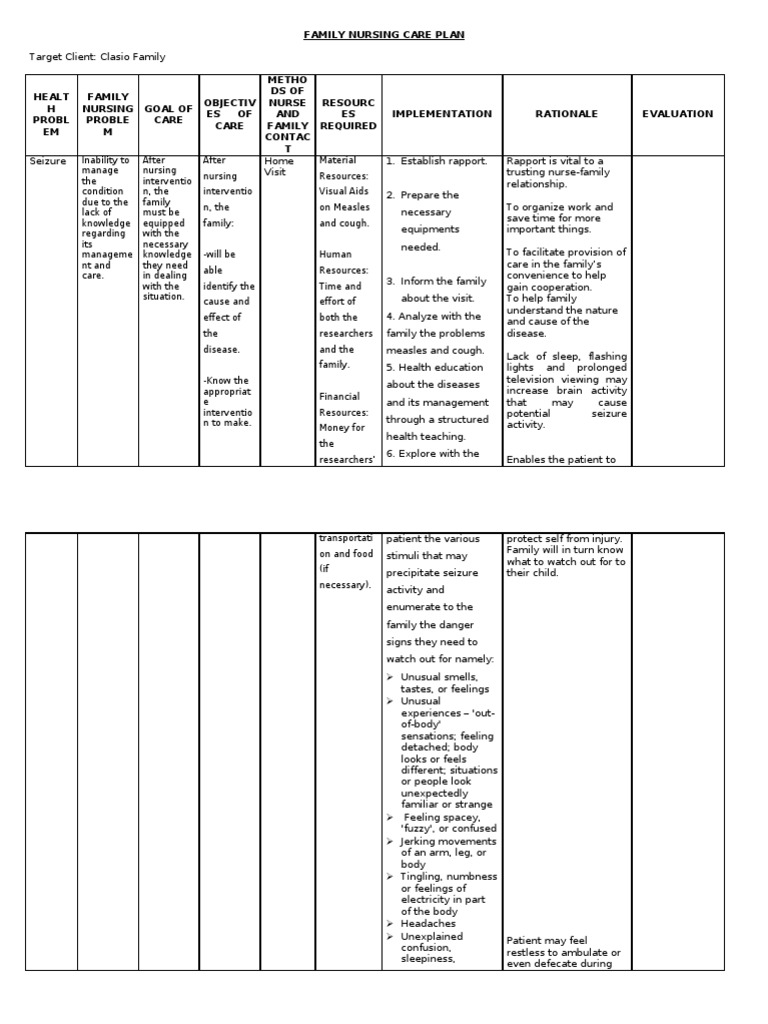Family Nursing Care Plan Seizures | Nursing | Nervous System