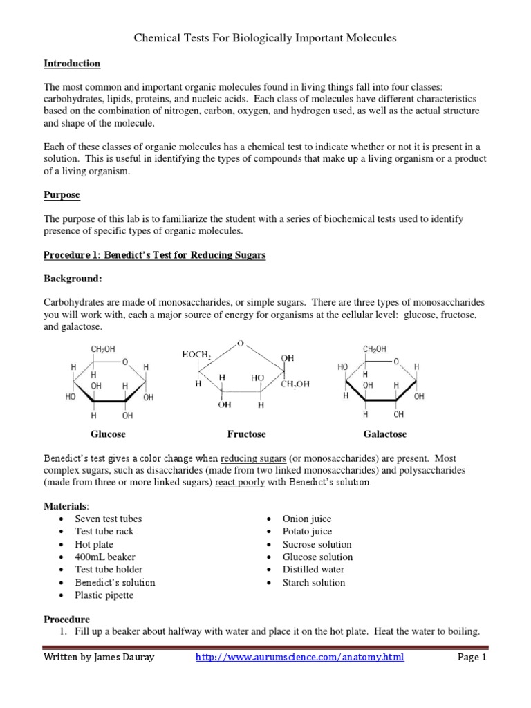 Biologically Important Molecules Chemical Tests Lab | Carbohydrates ...
